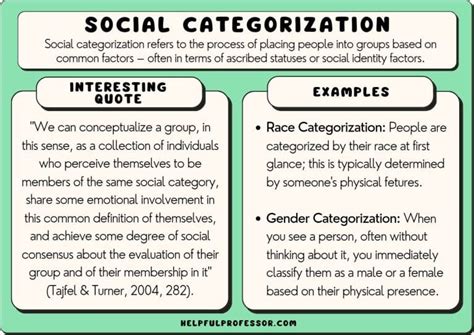 Image result for Categorization