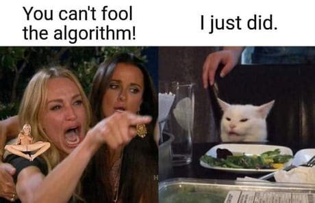 Image result for Instagram Algorithm Meme