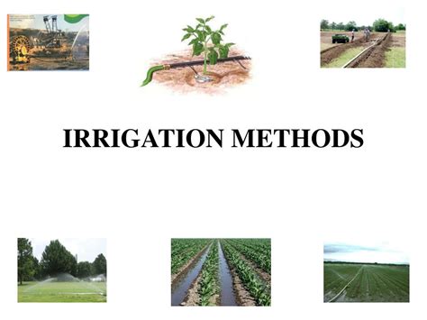 Image result for Lever Method Irrigation