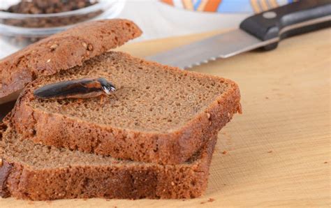 Image result for Cockroach Eating Food