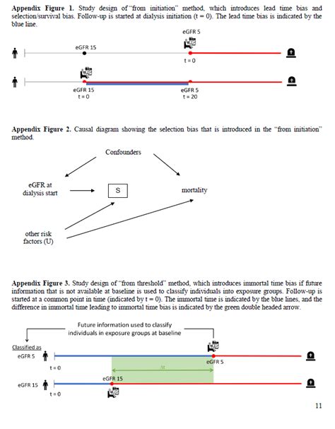 Image result for Nephrogram Phase Timing