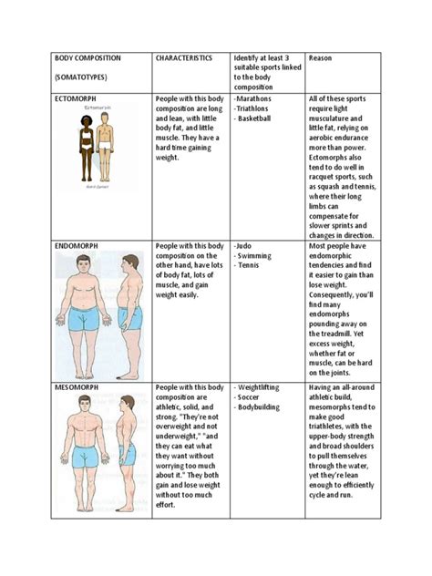Image result for Types of Body Composition