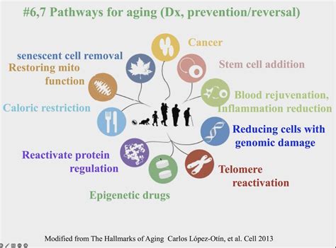 Image result for Gene Editing Direct Reprogramming