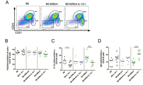 Image result for Knockout Template Example