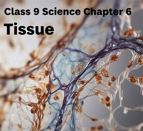 Image result for Class 9 Science Chapter Tissue