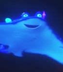 Image result for Finding Nemo Mr. Ray