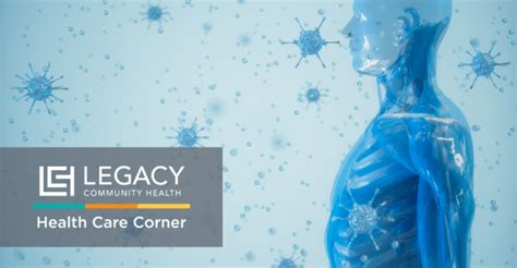 Image result for How Does Immune System Work