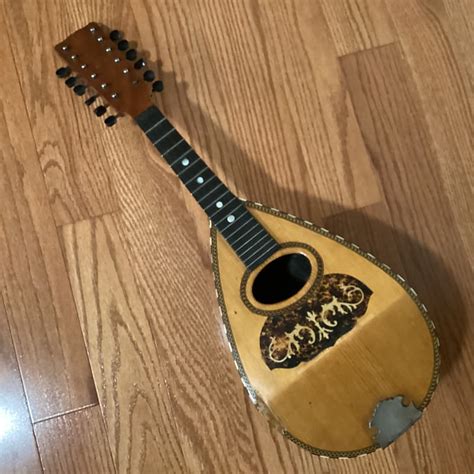 Image result for 12 String Mandolin