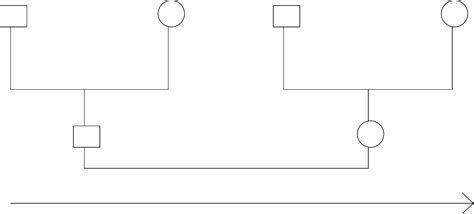 Blank Genogram Template - Excel Templates - Excel Templates