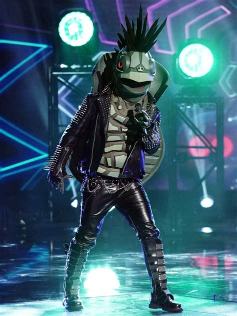 Image result for Masked Singer Turtle Performance