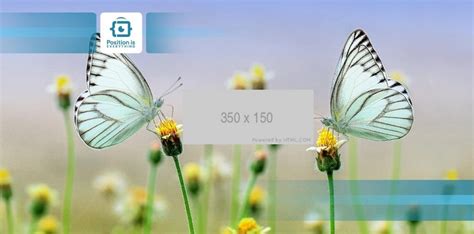 Image result for HTML Image Map Code