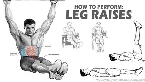 Image result for Leg Raises Exercise