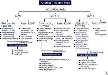 Image result for Algorithm for Anemia Work Up