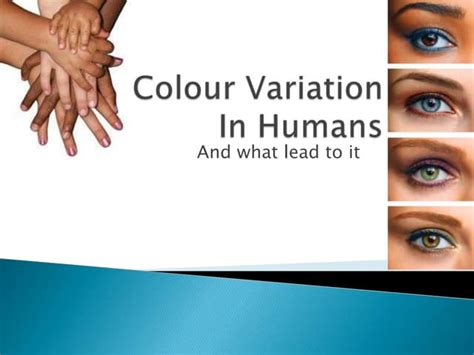 Image result for Human Variation