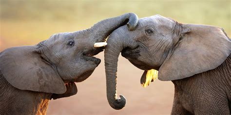 Image result for Communication