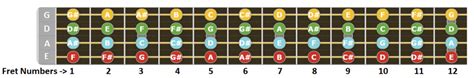 Image result for All Regular Notes Bass