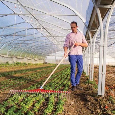 Image result for Spring Tine Harrow