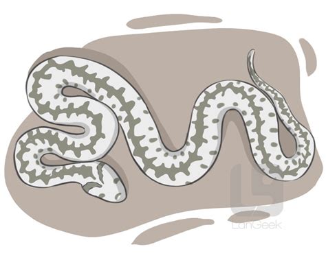 Image result for ASP Insect