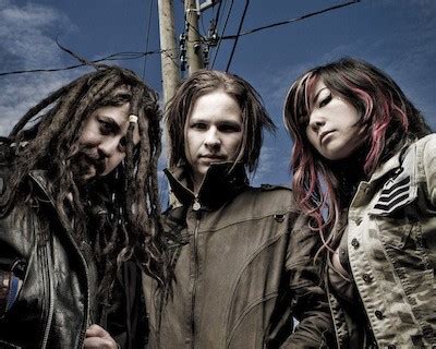 Image result for Primitive Evolution