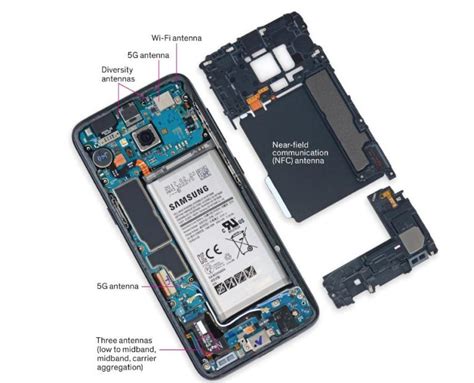 Image result for Finding Mimo