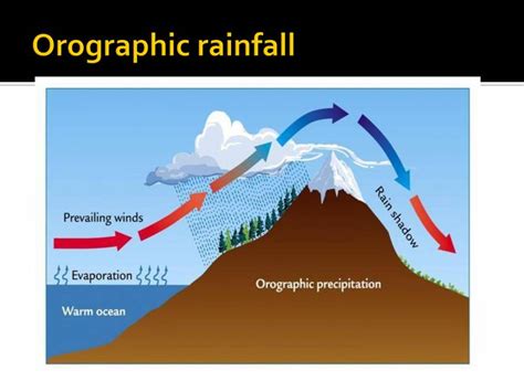 Image result for Animation of Types of Rainfall