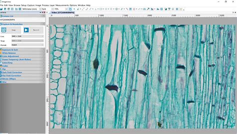 Image result for Best Microscope Camera Software