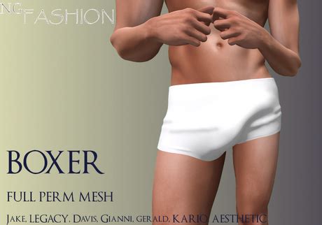 Image result for Boxer Model Mengine