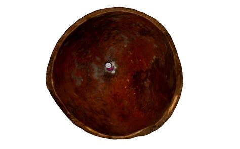Image result for Coconut Shell Models