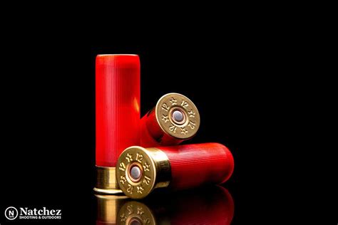 Image result for Small Shotgun Shells