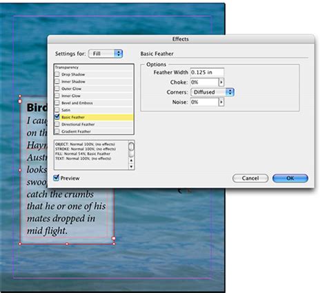 Image result for Set Transparency in InDesign