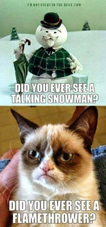 Image result for Grumpy Cat Memes Clean