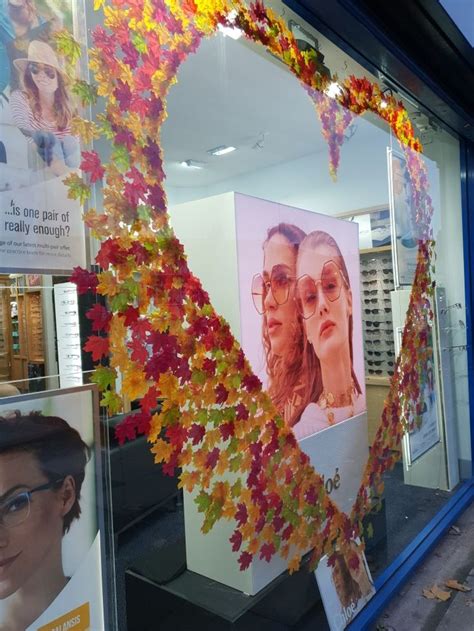 Image result for Autumn Window Display