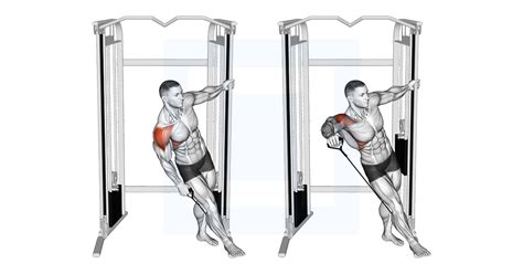 Image result for Side Lateral Raises Form