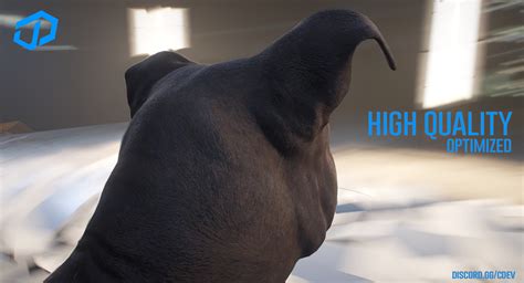 Image result for Fivem Pet Script