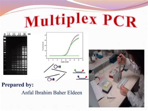 Image result for PCR Multiplexing Methods