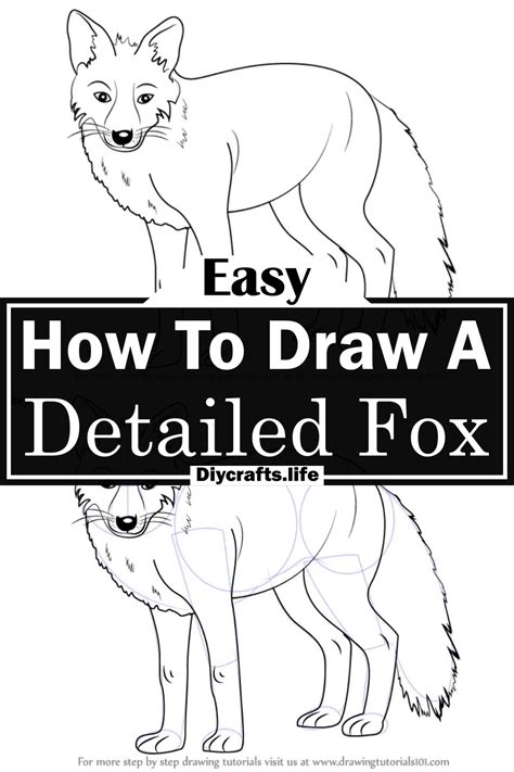 Image result for Fox Drawing Tutorial