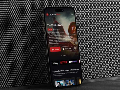 Image result for Video Streaming Website Source Code