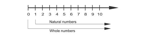 Image result for Integer Numbers Definition