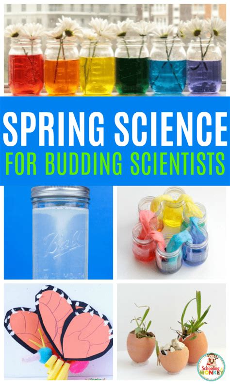 Image result for Spring Experiment