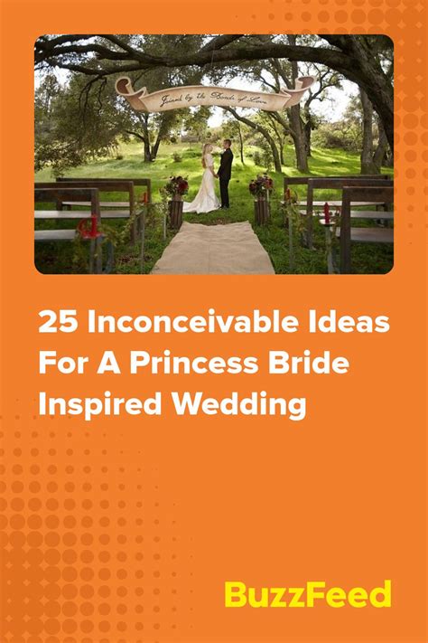Image result for Inconceivable Princess Bride Pic