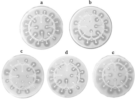 Image result for Disadvantages of Using Disk Diffusion Method