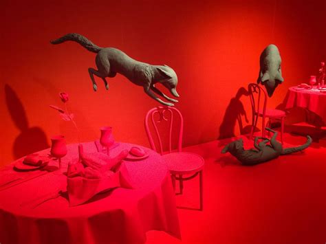 Image result for iPhone 6 Plus Camera Tutorial