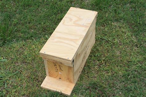 Image result for Five Frame Nuc Box