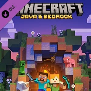 Image result for Minecraft Java Edition Disc