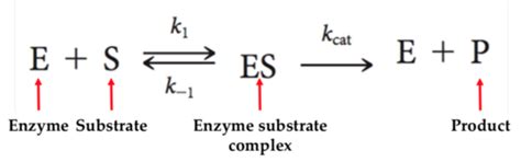 Image result for Substrate Reactions
