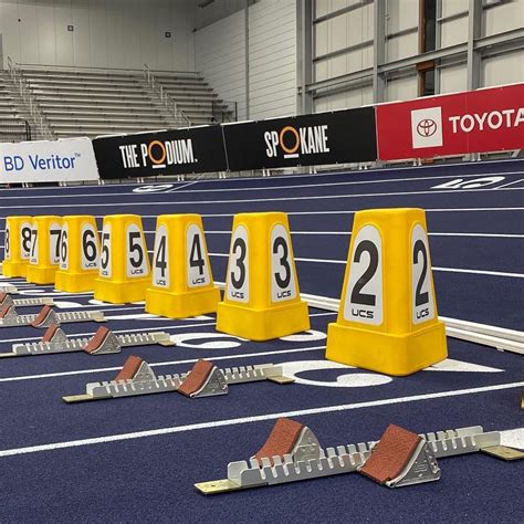 Image result for Discus Cage Layout