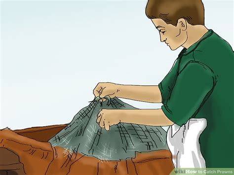 Image result for Catching Prawns