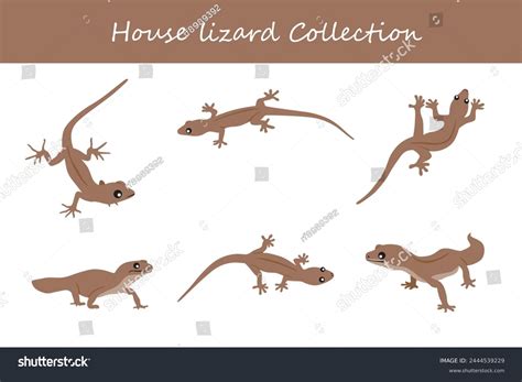 Image result for House Lizard Drawing