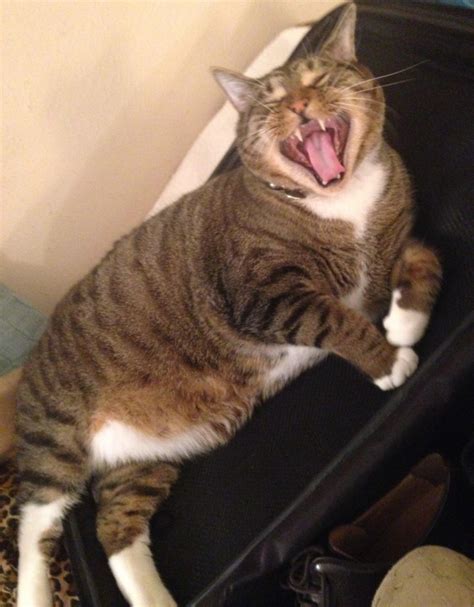 Image result for Unpredictable Reactions