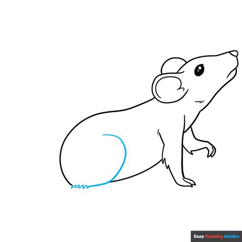 Image result for Rat Drawing Tutorial